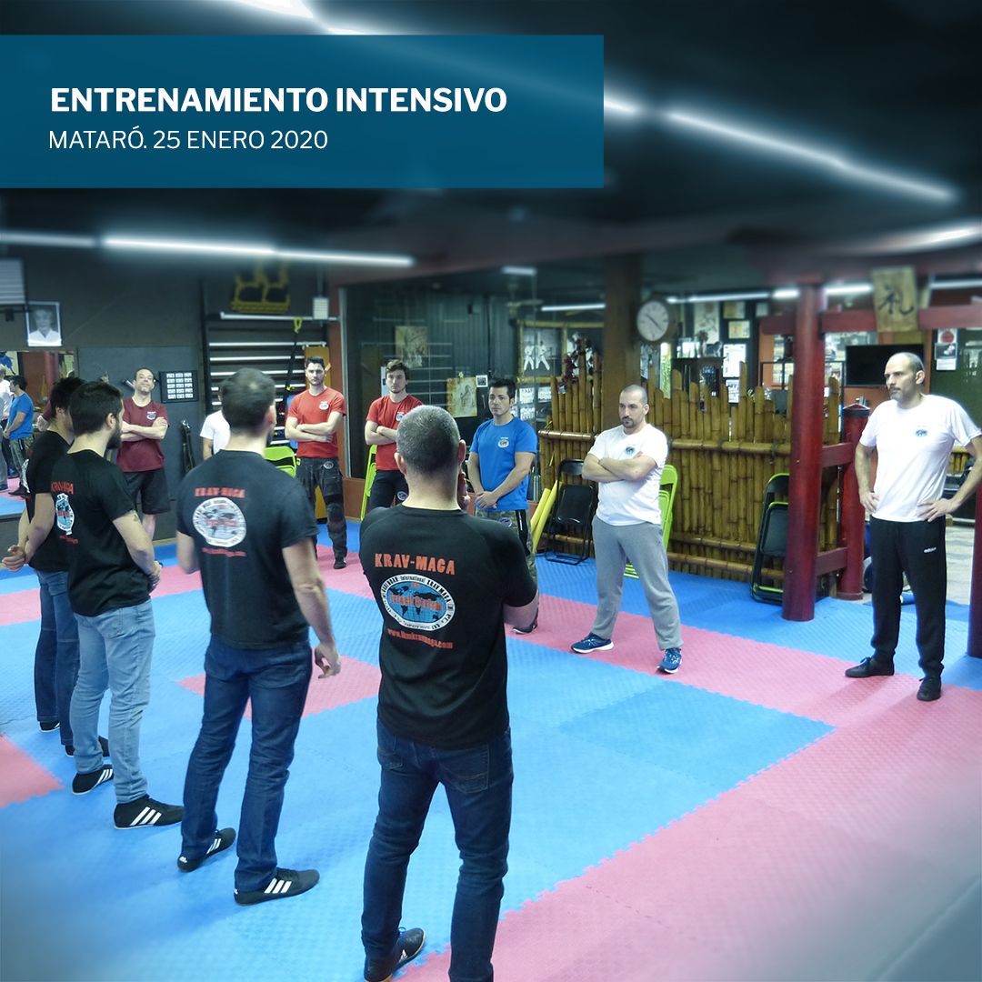 Clase intensiva programa P1 y P2 – Krav Maga Arnau Fillat